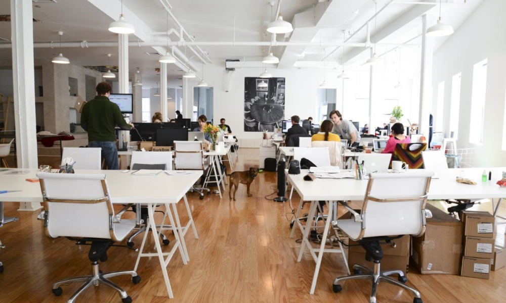 Best New York City office design - Officelovin'