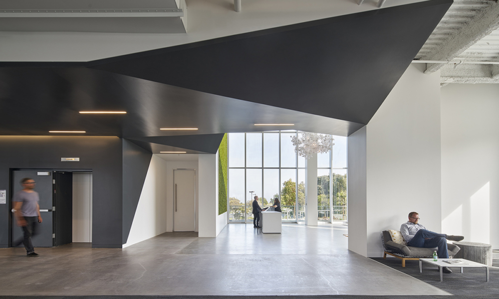 Blitz - Officelovin'