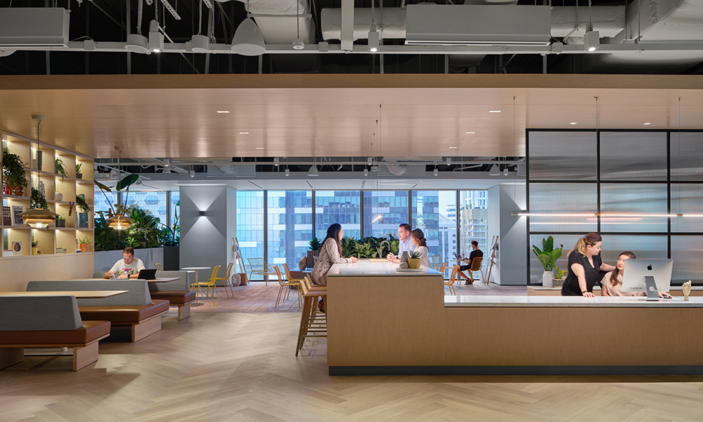 Biophilic Office Design and Architecture - Officelovin'
