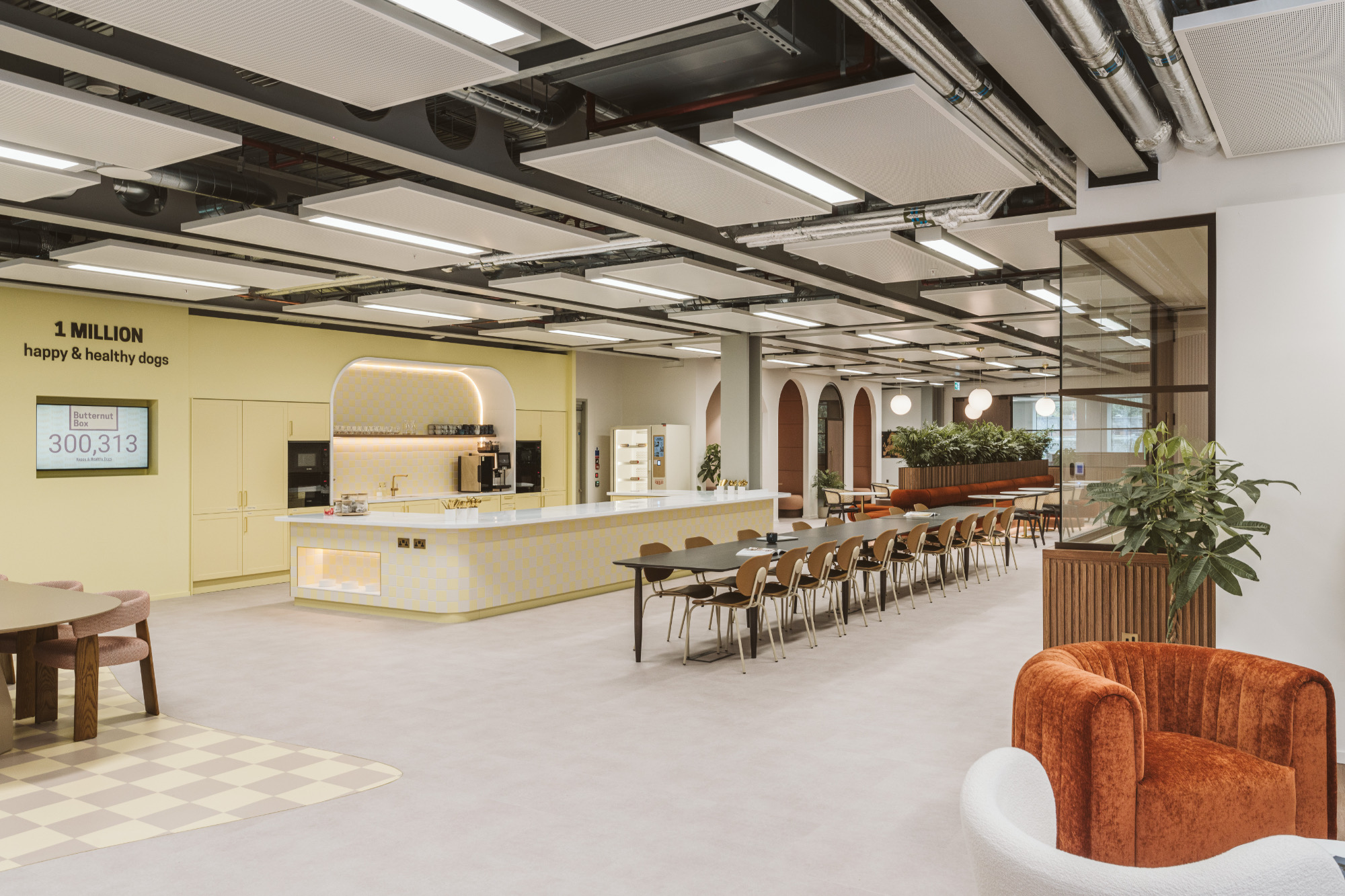 A Tour of Butternut Box’s New London Office - Officelovin'